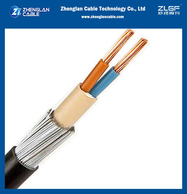 0.6/1kV 2 Core Armoured Cable Copper BS5467 IEC/EN 60502-1, IEC/EN ...