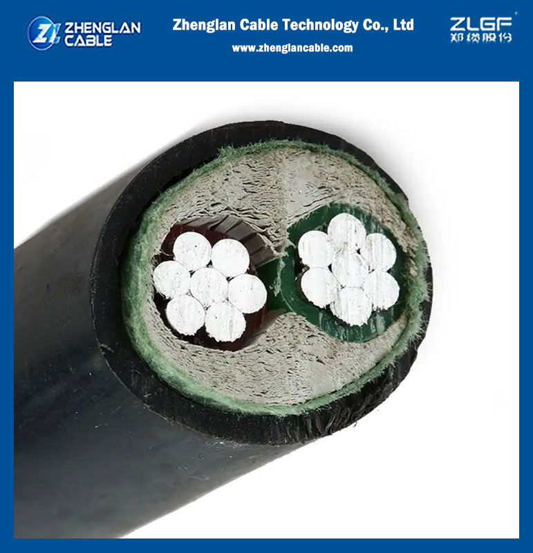 1kv Aluminum Power Cable Unarmored PVC Sheathed 2x10mm2 IEC60502-1 ...
